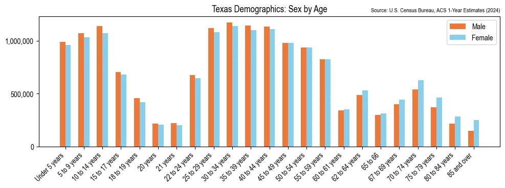 Texas Demographics - Population, Race, Income, & More